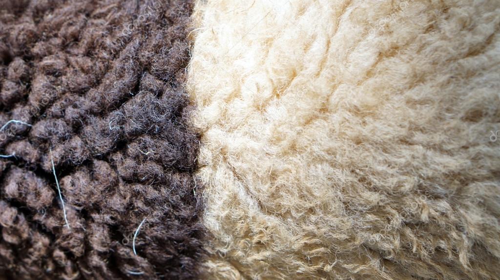 Sheep Wool Texture