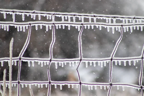 Close up of ice covers wire fence with ice icicles . High quality photo ...