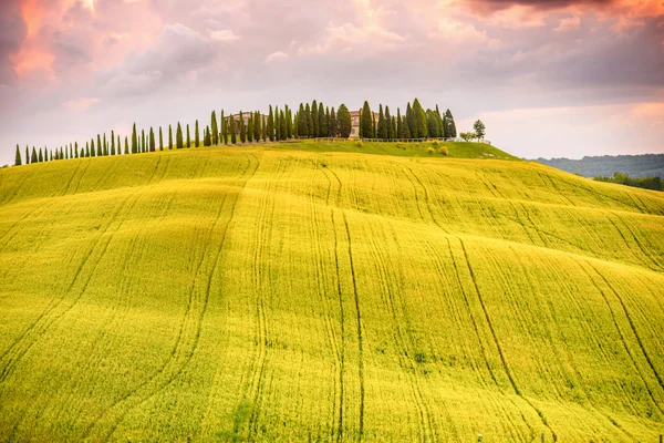 Beautiful tuscan landscape view – Stock Editorial Photo © rossandhelen ...