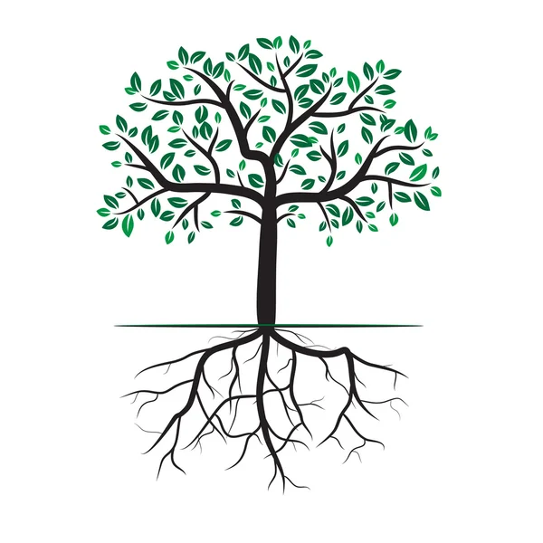 Color Tree and Roots. Vector Illustration. Stock Vector Image by ...