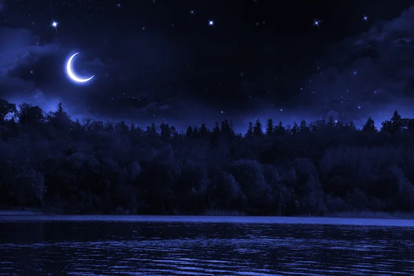 420,462 Summer night Stock Photos | Free & Royalty-free Summer night ...