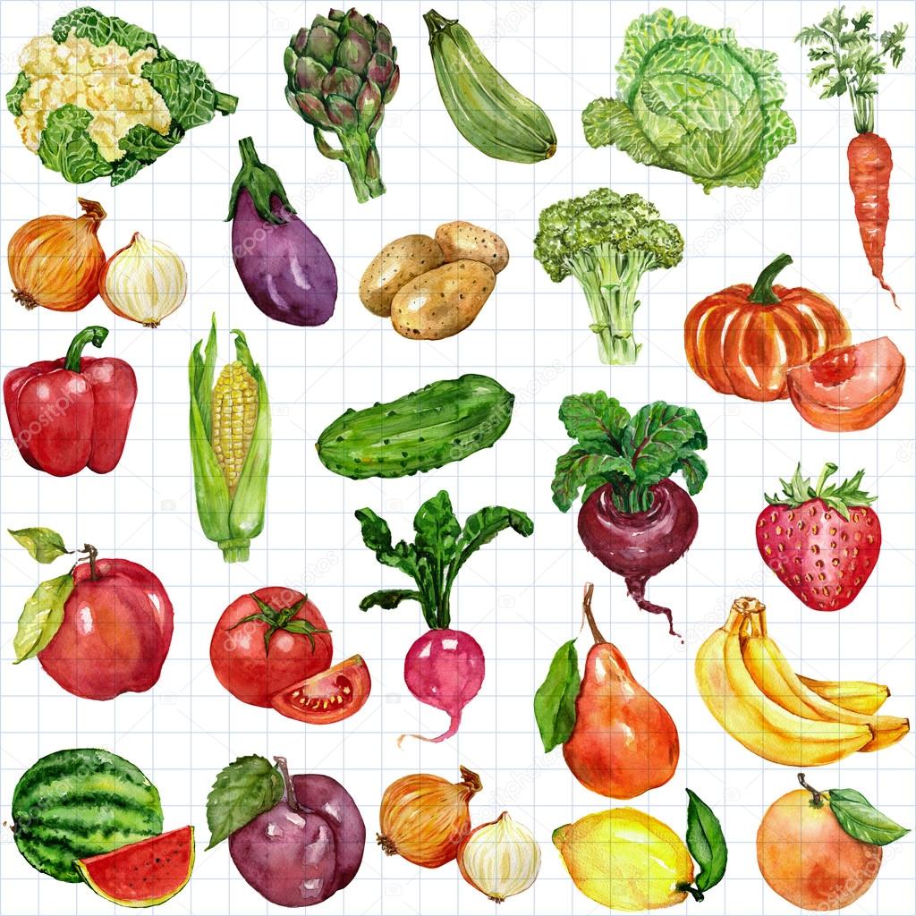 Watercolor set with fruits and vegetables Stock Illustration by ©Helen ...