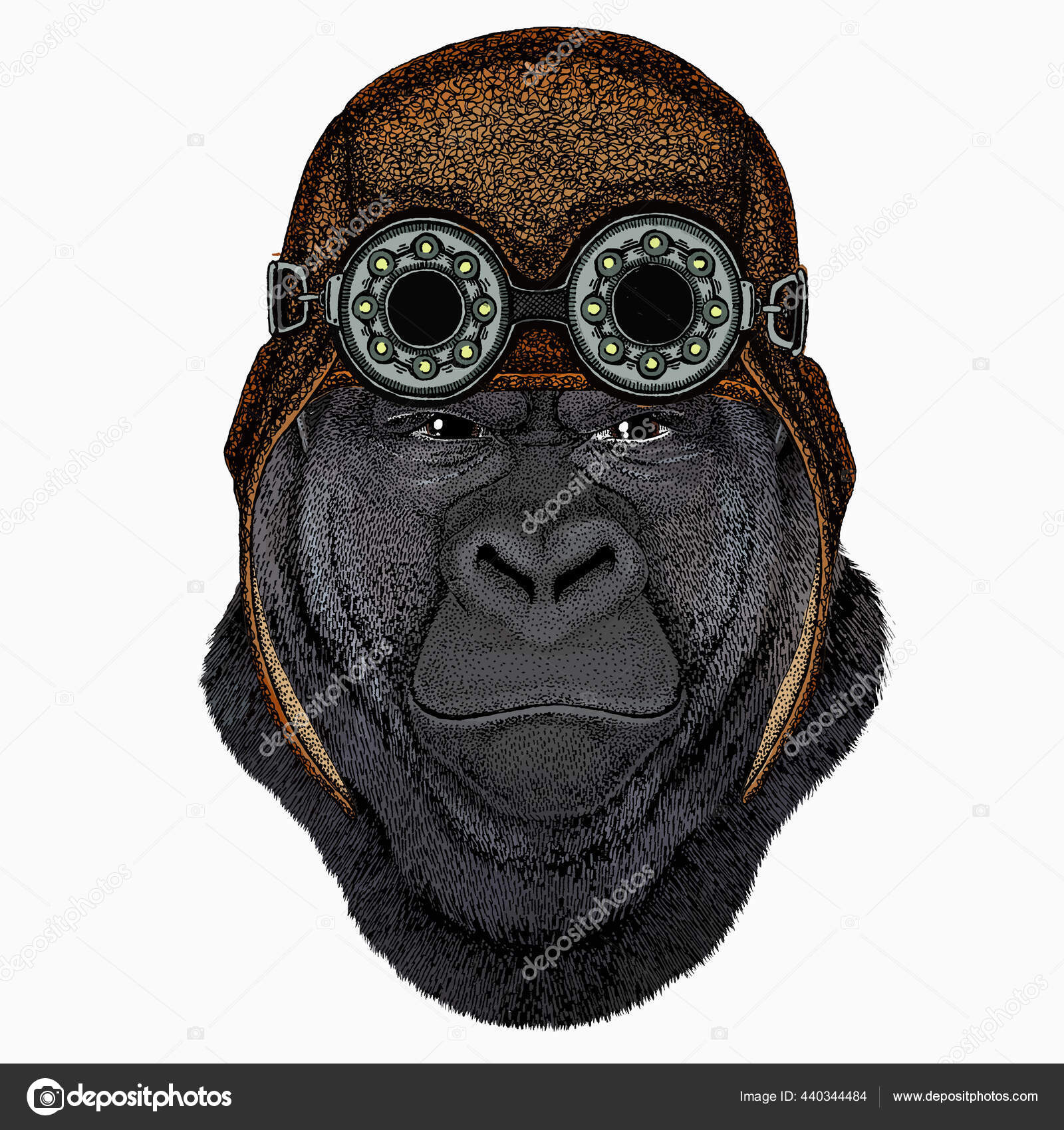 Gorilla head. Vector illustration. Wild animal portrait. Aviator ...