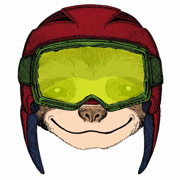 Golden man in the tick Vector Art Stock Images | Depositphotos