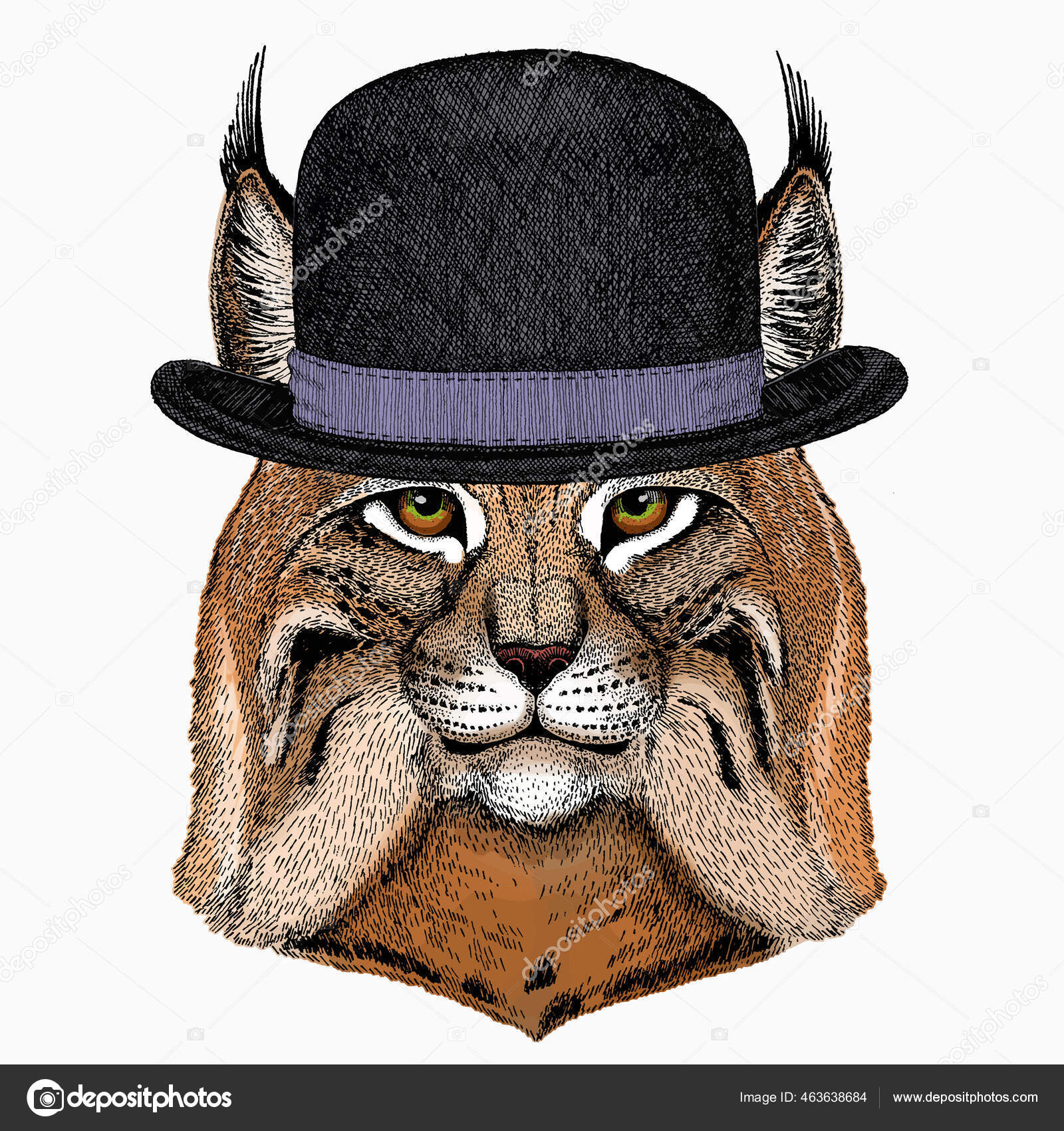 Lynx, bobcat. Wild cat. Vector portrait of cat head. Bowler hat. Stock ...