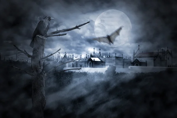 Night birds Stock Photos, Royalty Free Night birds Images | Depositphotos