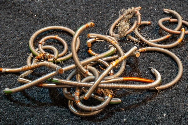 Vacuum components Pictures, Vacuum components Stock Photos & Images ...