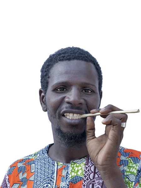African man holding a miswak (traditional teeth cleaning twig) — Stock ...