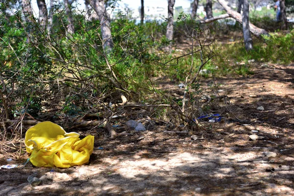 Waste in nature Images - Search Images on Everypixel