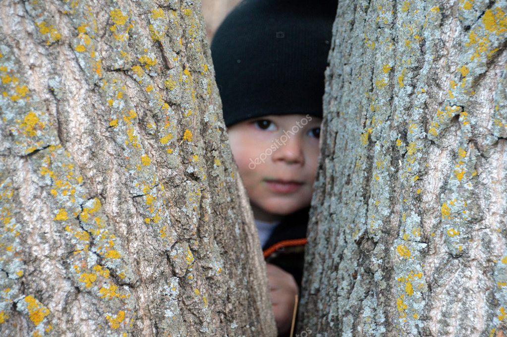 Boy hiding by a tree — Stock Photo © mikehop #69275551