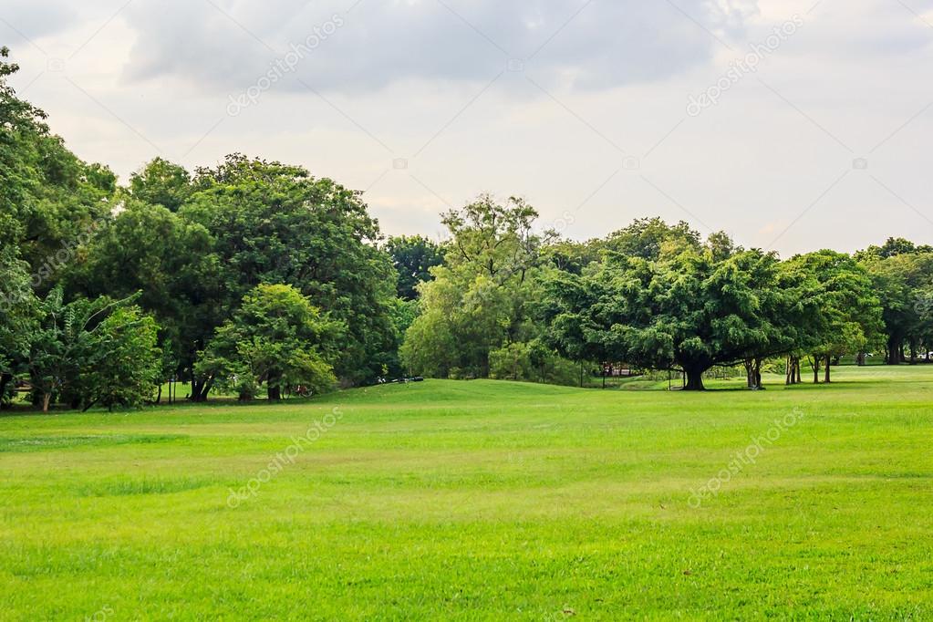 Public park Stock Photo by ©Panya7 60602709