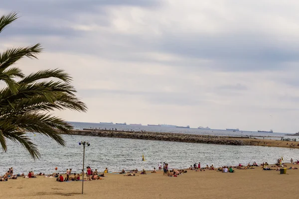 Barceloneta strand Stock Photos, Royalty Free Barceloneta strand Images ...