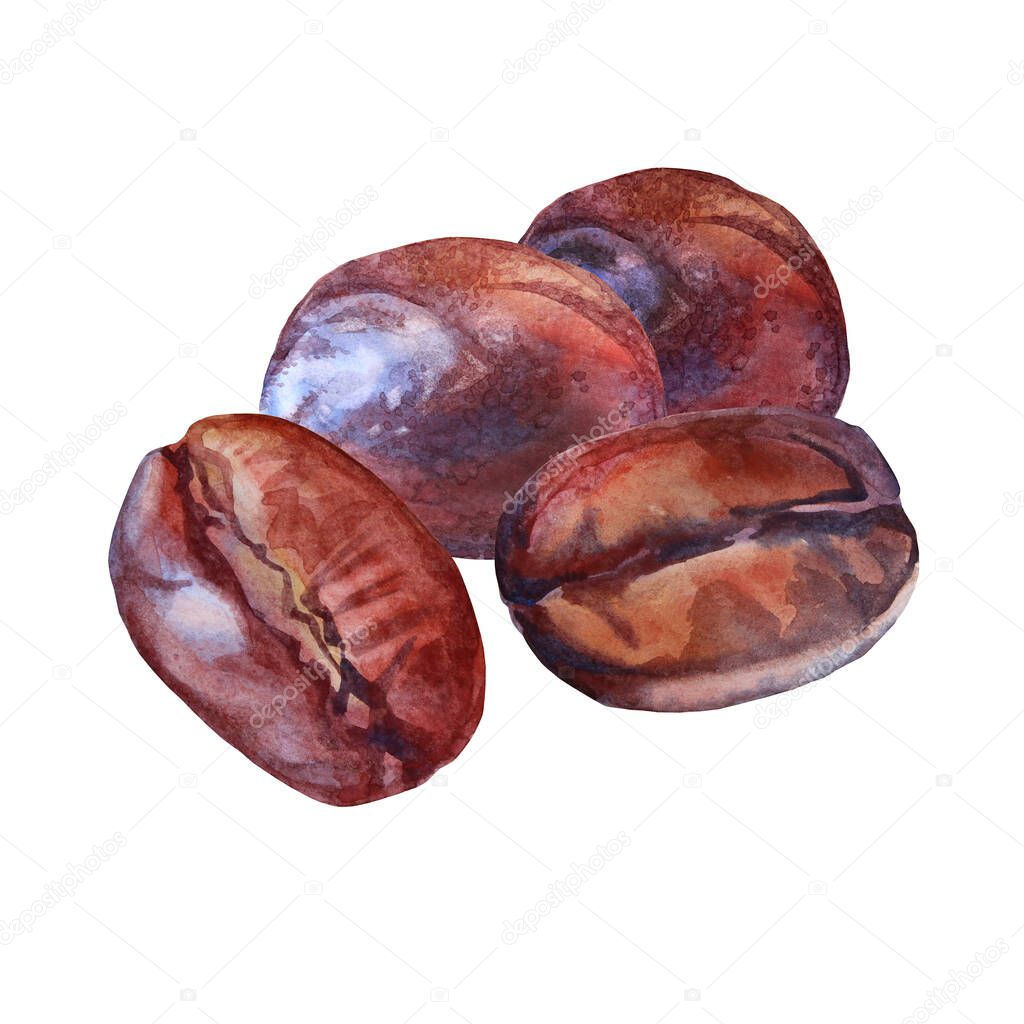 Café marrón acuarela aislado sobre fondo blanco. Aroma ingrediente de ...