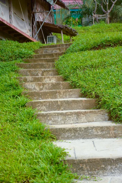 Concrete steps across a hill of grass - Stock Image - Everypixel