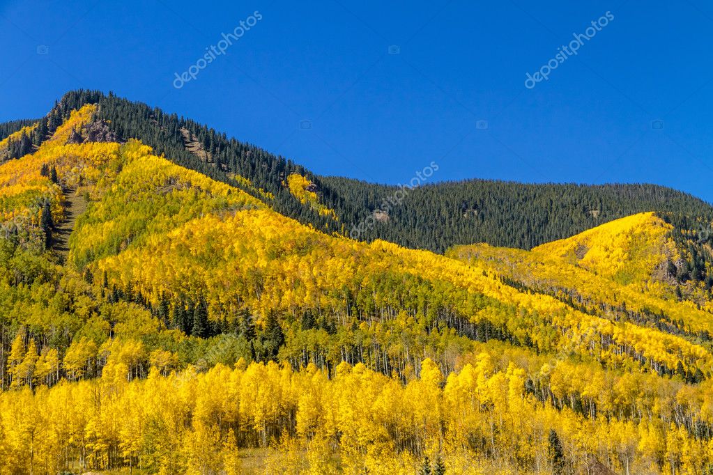 Fall Colors in Colorado Mountains Stock Photo by ©TeriVirbickis 103596350