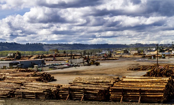Sawmill (lumber mill) Stock Photo by ©paulgrecaud 12727660