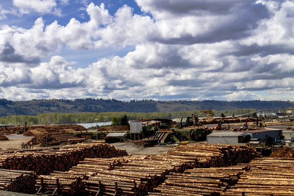 Logging Industry Log Yard Stock Photo by ©TeriVirbickis 71128365