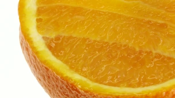 Orange vector illustration Stock Vector by ©kontur-vid 11517901