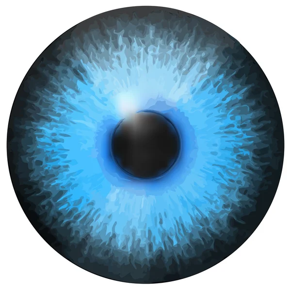 Eye Texture Png