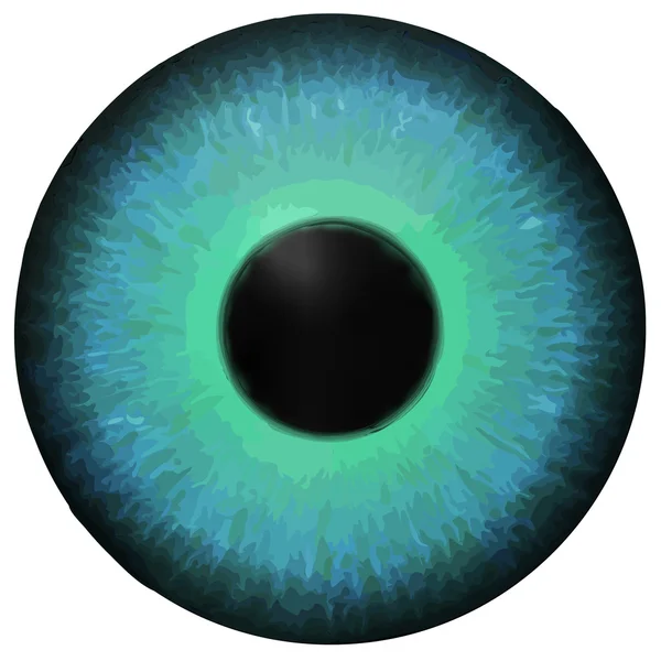 Eye iris generated hires texture Stock Photo by ©PandaWild 119706612