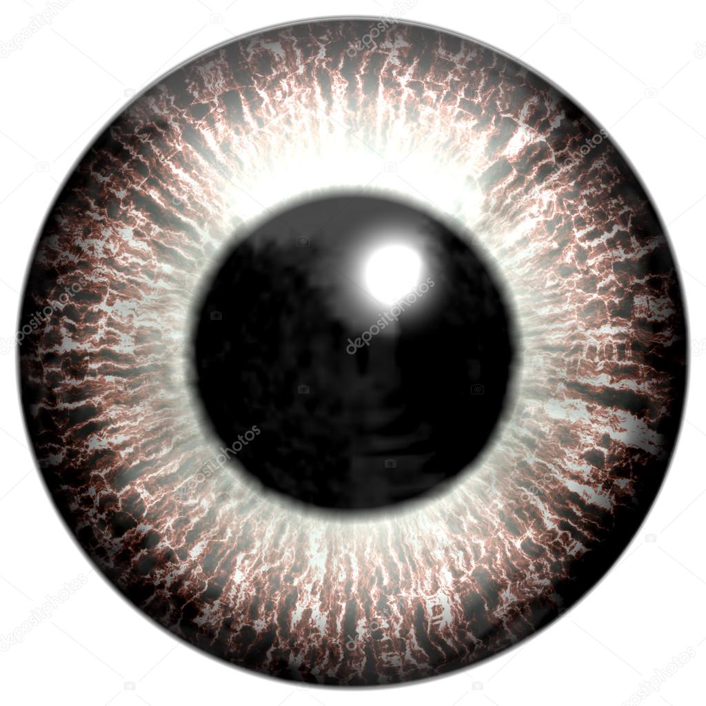 Eye iris generated hires texture Stock Photo by ©PandaWild 119706612