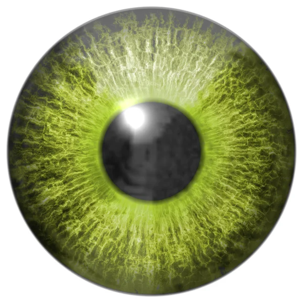 Eye iris generated hires texture Stock Photo by ©PandaWild 120556546