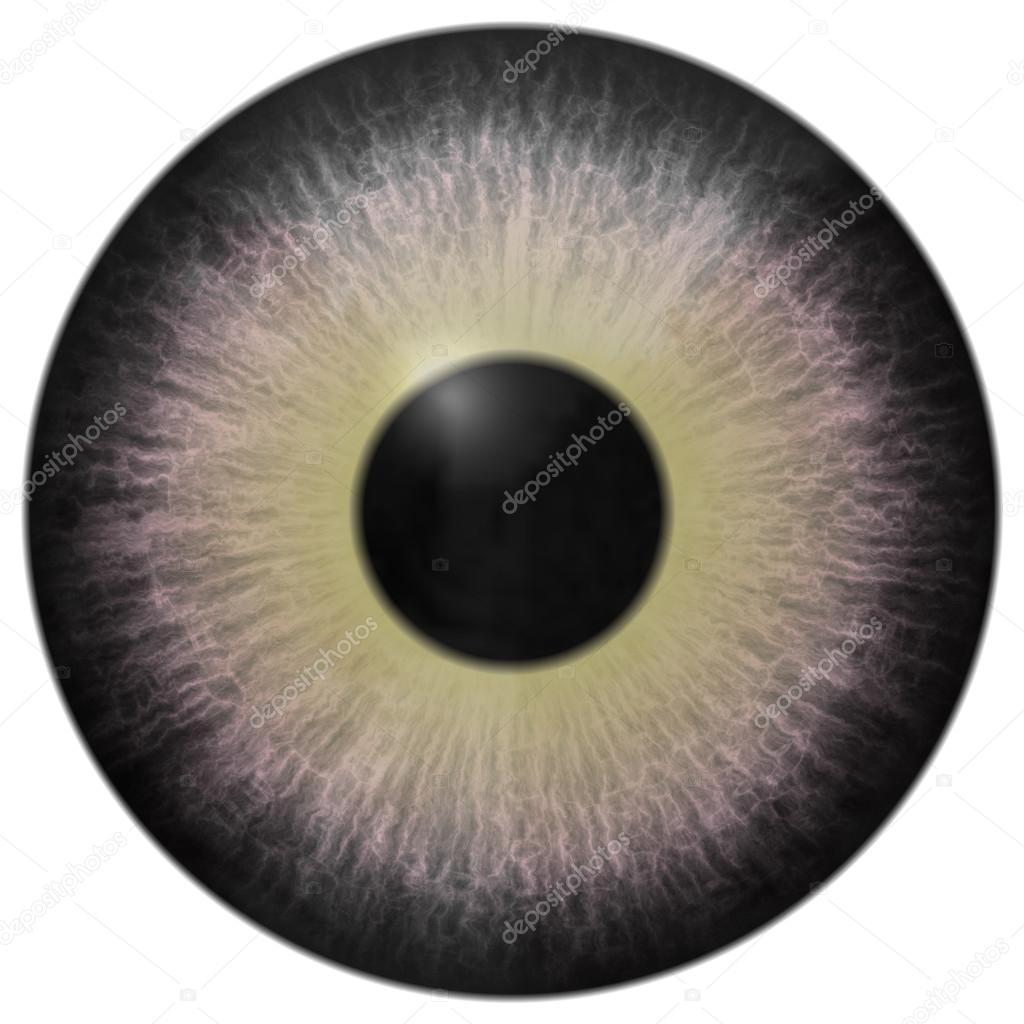 Iris Eye Texture
