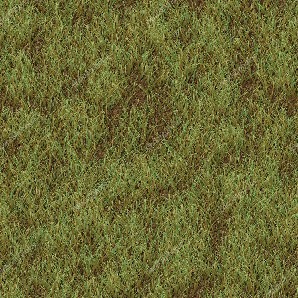 Seamless Grass Texture Map