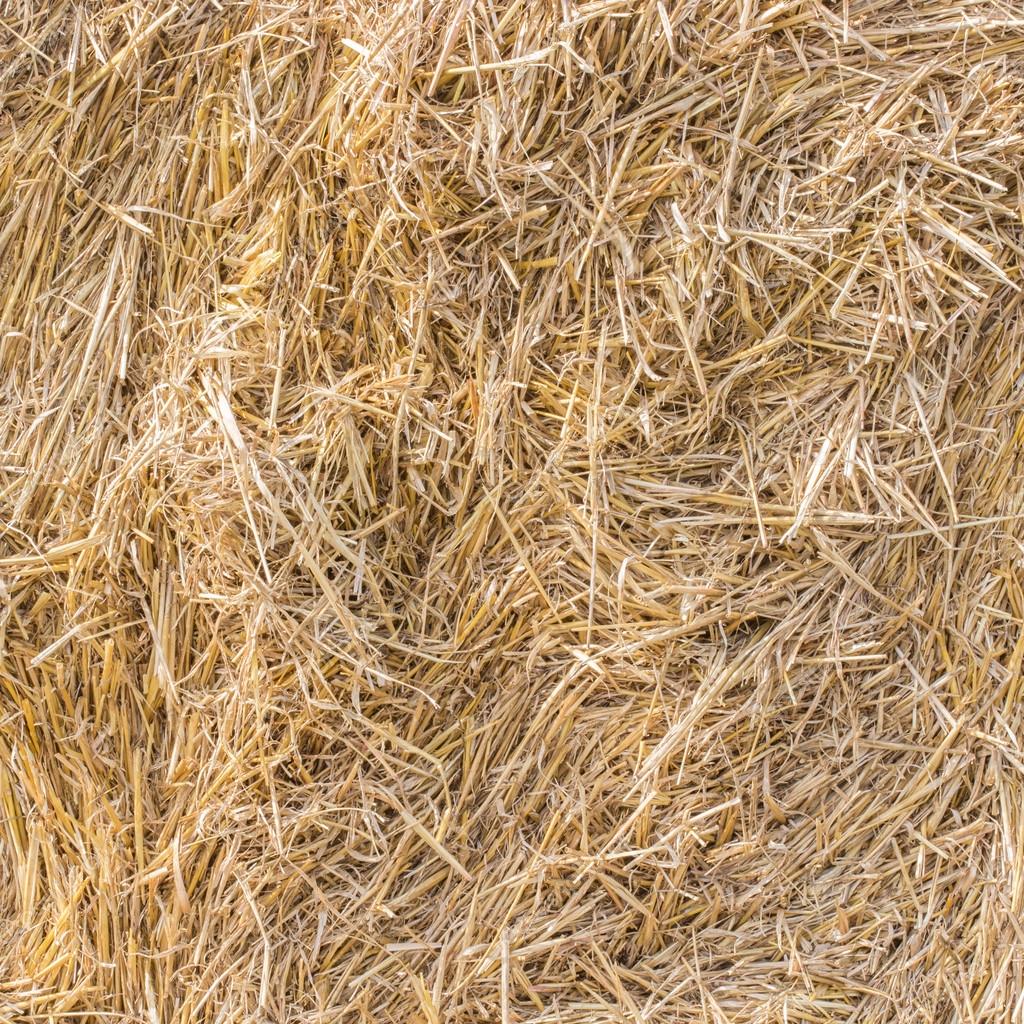 Texture of straw Stock Photo by ©NataliMis 120589480