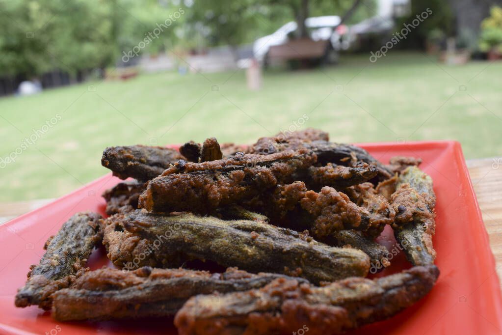 Delicioso pakoda de cebolla o pyaz ke pakode, bhajiya. Indio Pakistaní ...