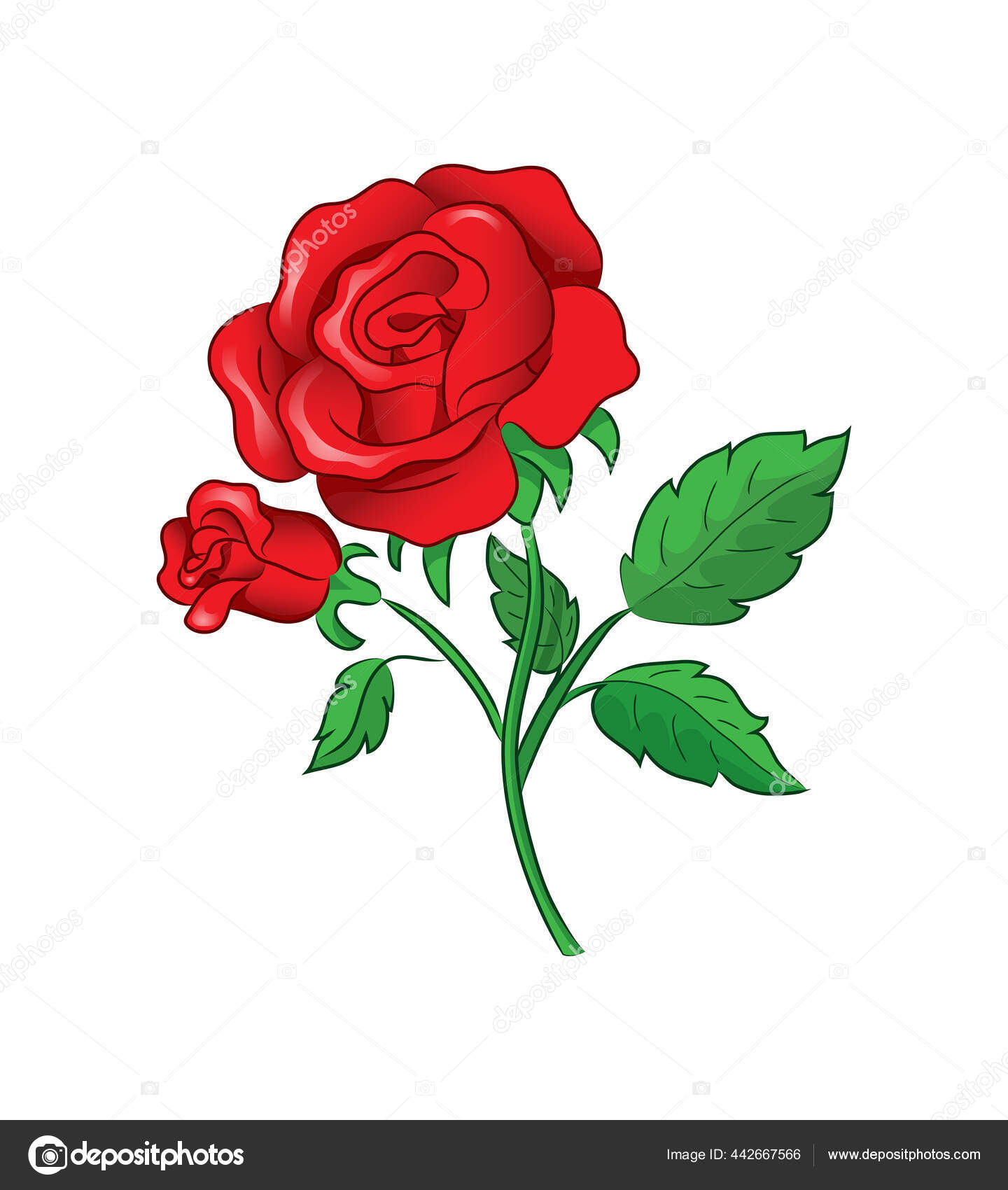 Rosa Rubí Color Rojo Profundo Con Ilustración Vectorial Hojas Verdes ...