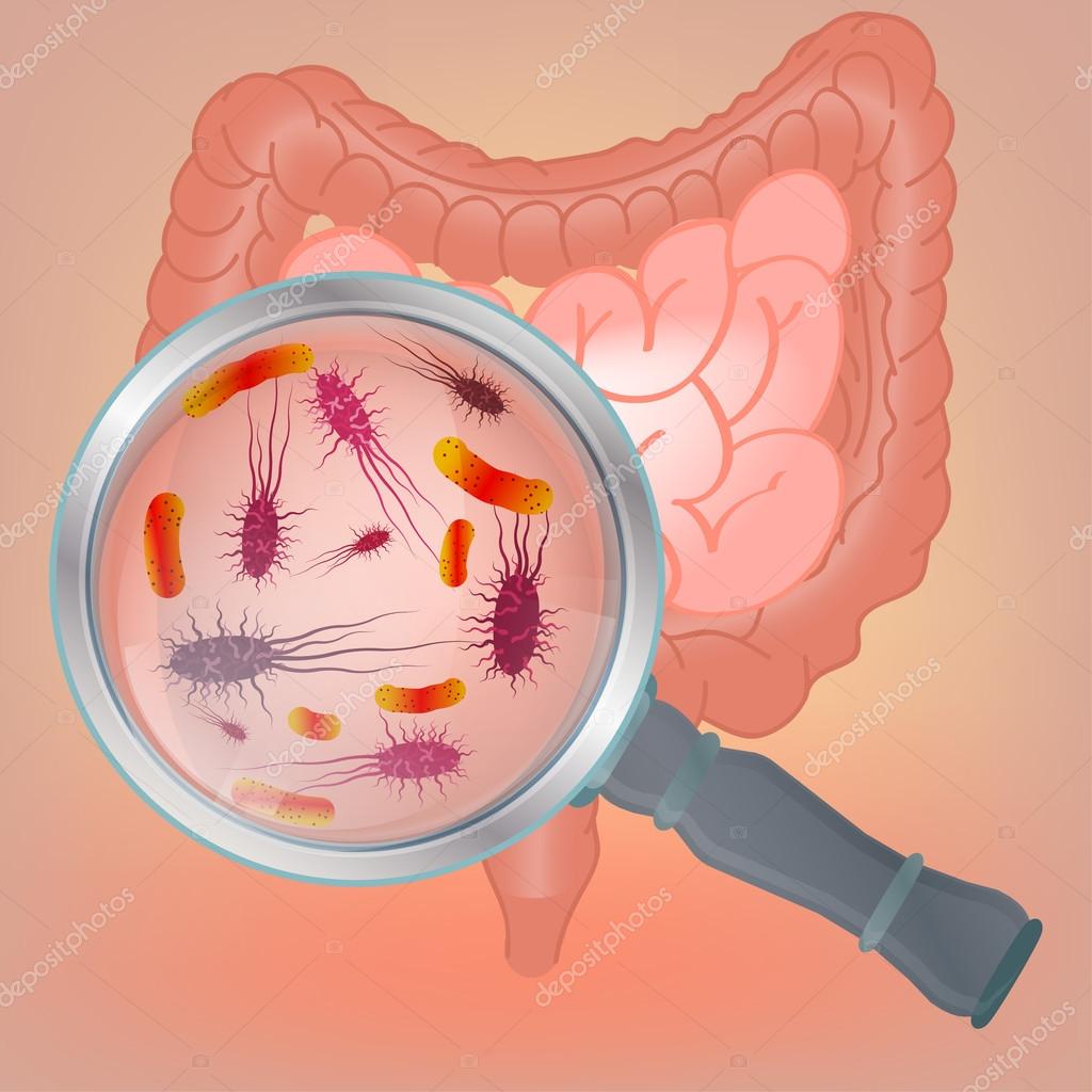 Vector Bacteria Flora Stock Vector Image by ©annyart #100123818