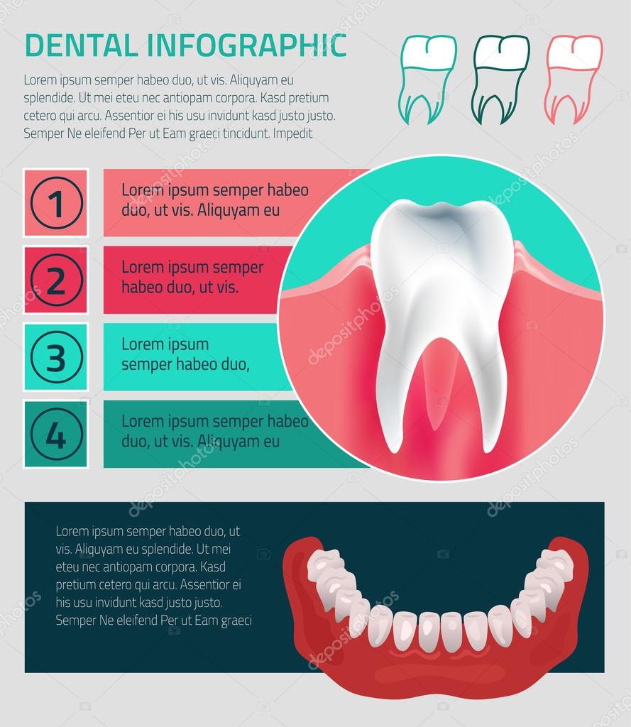 Teeth vector infographic Stock Vector Image by ©annyart #106745046