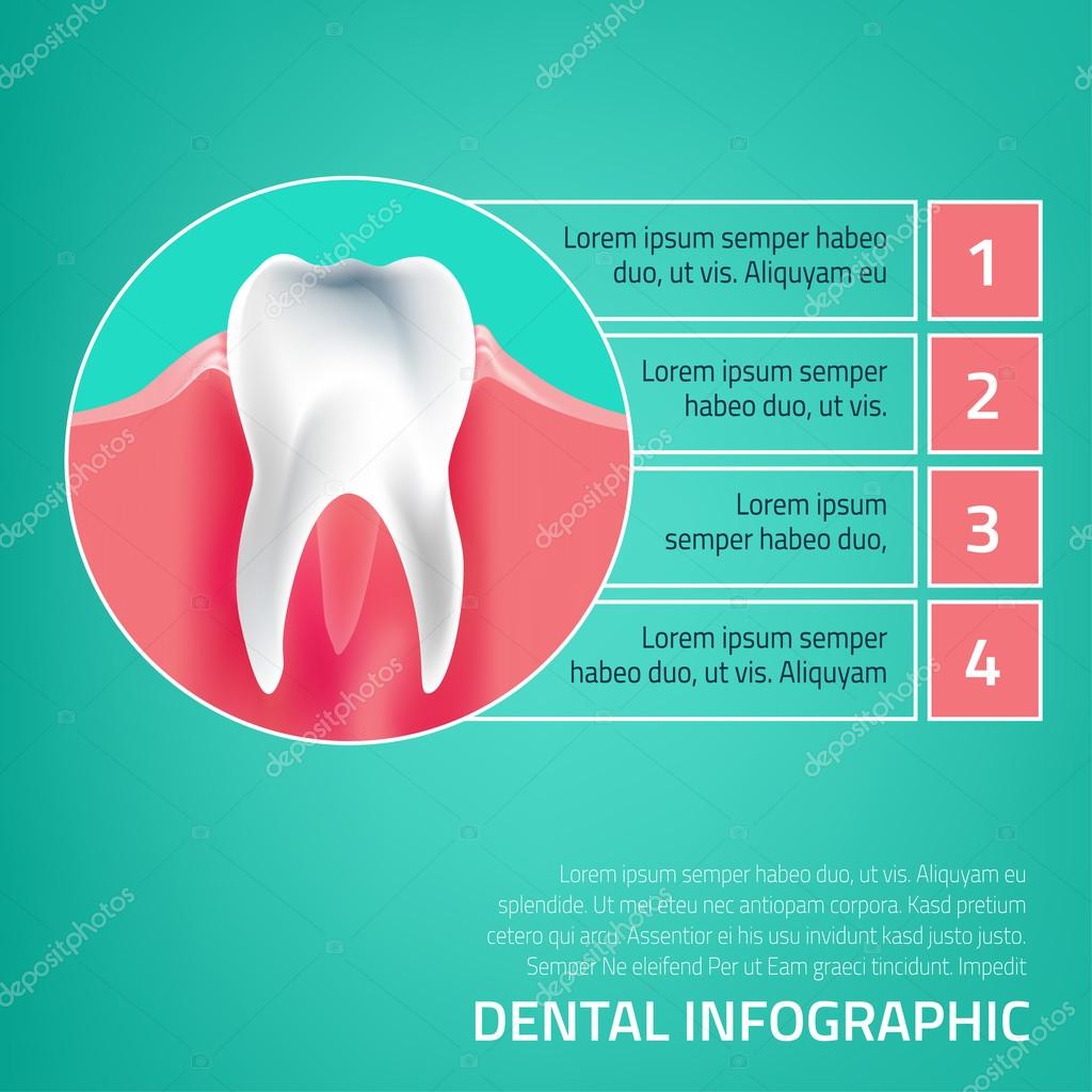 Teeth infographic A-05 Stock Vector Image by ©annyart #109074558