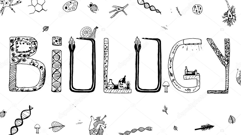 Biology Doodles vector Stock Vector Image by ©annyart #114587060