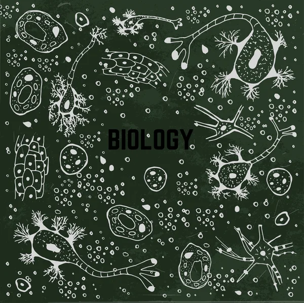 Biological vector Background — Stock Vector © annyart #117707210