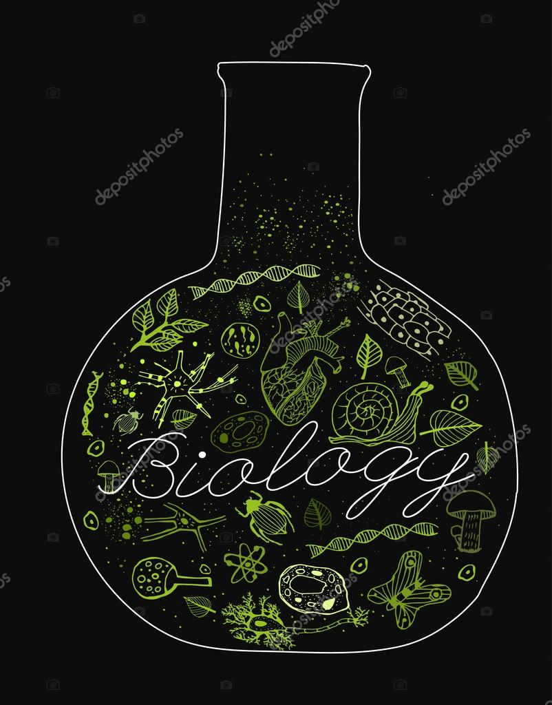 Biología Lettering vector Stock Vector by ©annyart 116886676