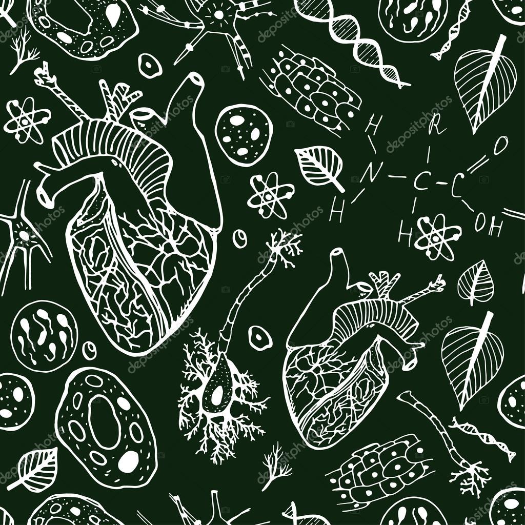 Biological vector Background — Stock Vector © annyart #117707210