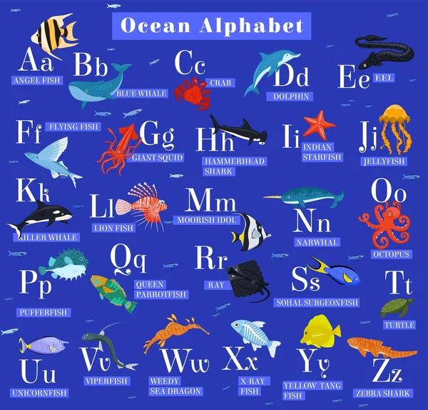 10,981,234 Alphabet sea cartoon Vector Images | Depositphotos