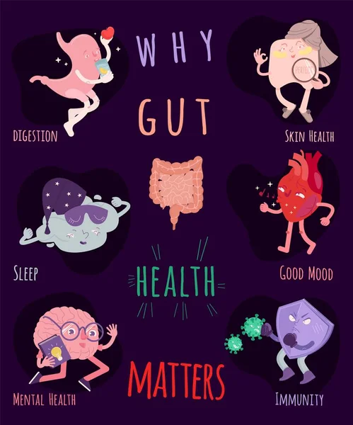Gut health Vector Art Stock Images | Depositphotos