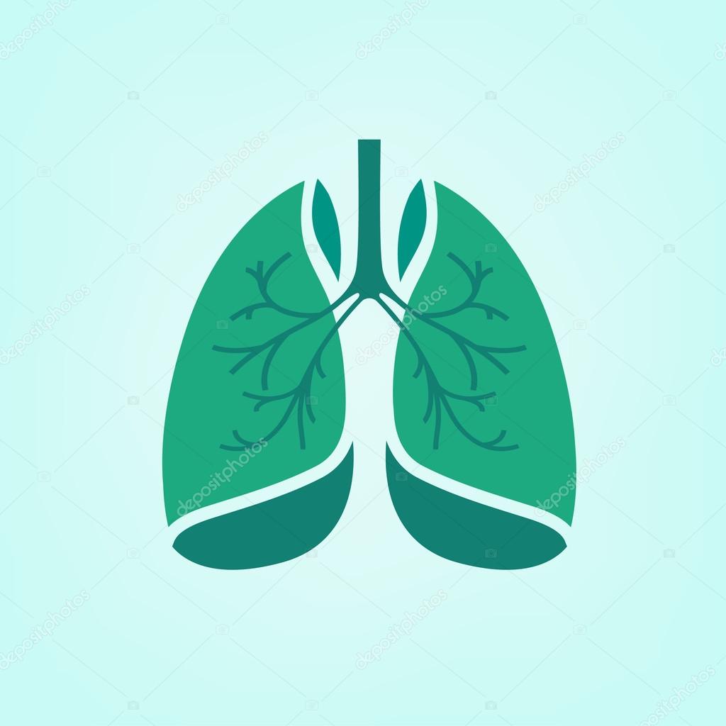 Vector Lungs Icon — Stock Vector © annyart #99268788 Vector Lungs Icon — Stock Vector © annyart #99268788