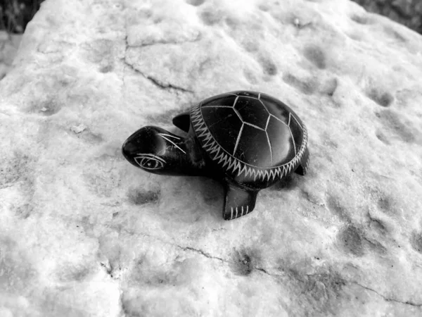 Estatua de la tortuga Stock Photos, Royalty Free Estatua de la tortuga ...