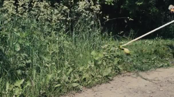 96 vídeos de Kosa spalinowa, metraje de Kosa spalinowa sin royalties ...