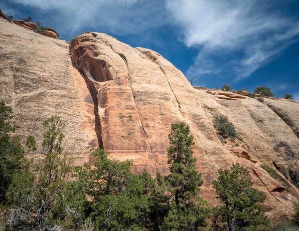 Peri dico hist rico Rock Trail con jerogl ficos en el Parque Nacional de Ca ones Utah 2024