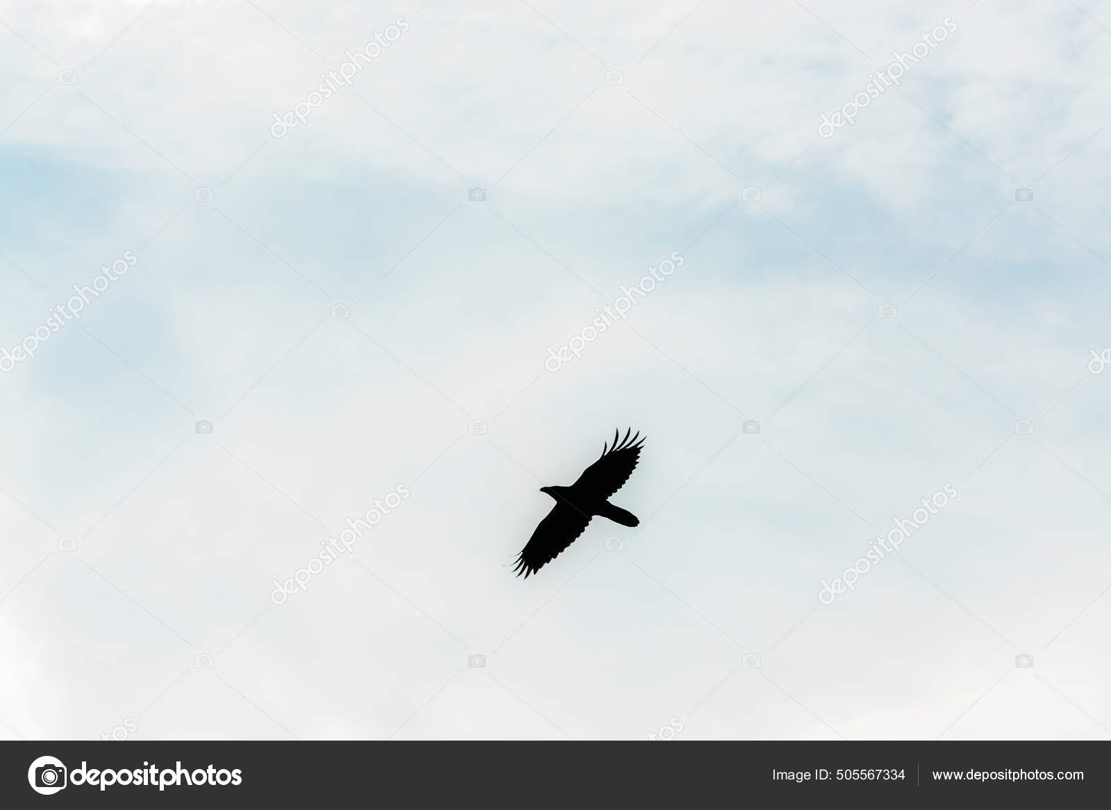 Raven Flight Cloudy Sky Background Stock Photo by ©vasvormich 505567334