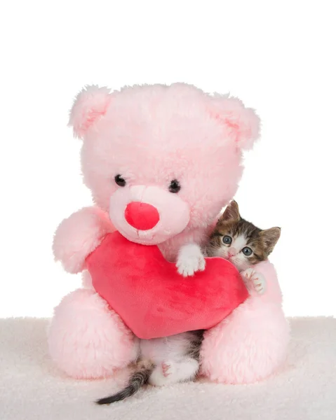 Hello kitty hugging Stock Photos, Royalty Free Hello kitty hugging ...