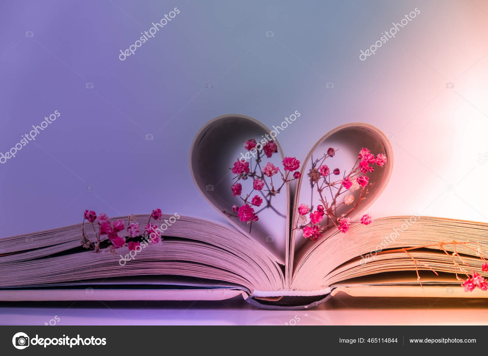 Book Pages Folded Heart Pink Flower Soft Focus Deliberate Slight Stock ...
