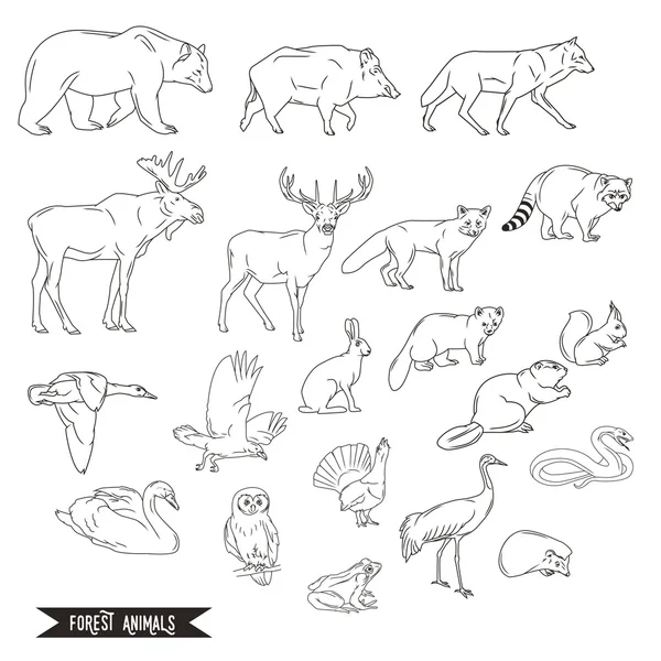 Forest animals drawing Vector Art Stock Images | Depositphotos