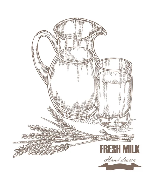 Hand drawn jug and glass of milk with wheat ears isolated. Vector Stock ...