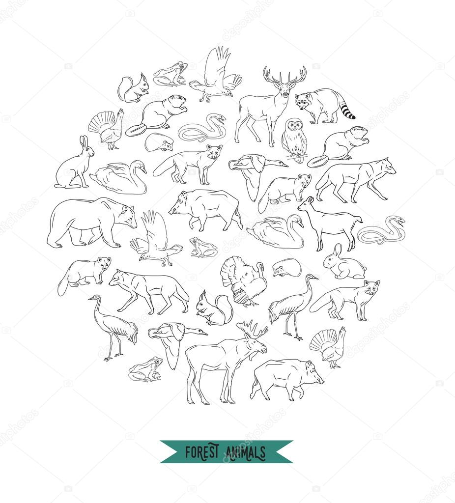 Hand drawn forest animals. Animals silhouettes vintage. Vector Stock ...